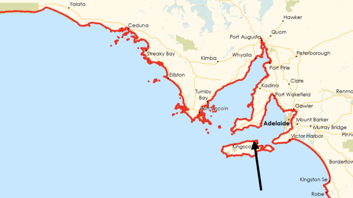 Cambrian Creatures’ Diverse, Complex Eyes Reinforce Creation Narrative ...